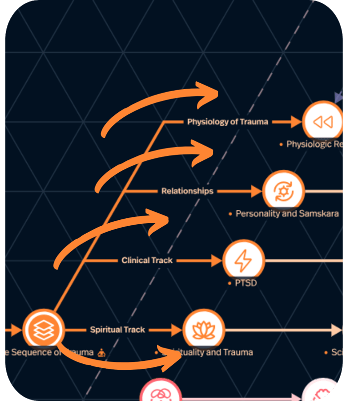 Dr. K's Guide to Trauma